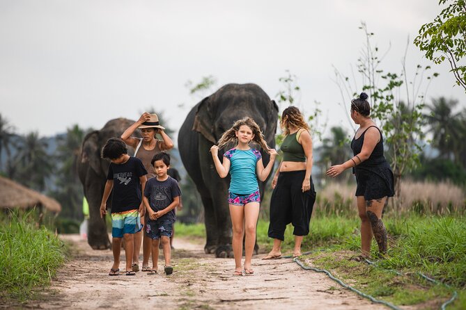 Elephant Jungle Sanctuary: Half Day Morning Program - The Food and Facilities