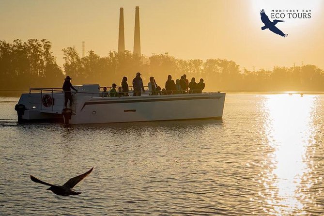 Elkhorn Slough Wildlife Tour - The Sum Up: A Genuine Nature Experience Worth Your Time