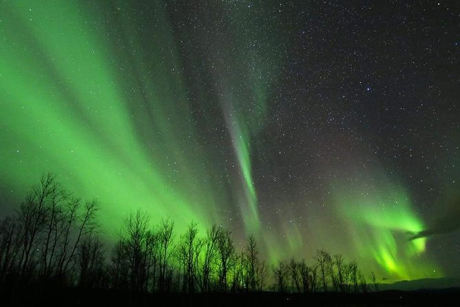 Enjoy the Aurora Show on Top of the Mountain Inc Tipi Dinner - Customer Feedback and Experiences
