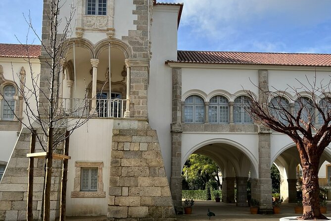Évora: Private Walking Tour - Guide Experience