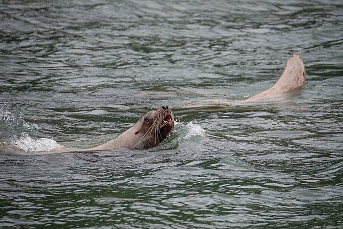 Exclusive Photography Tour to Haines - Skagway Departure - Physical Requirements and Accessibility