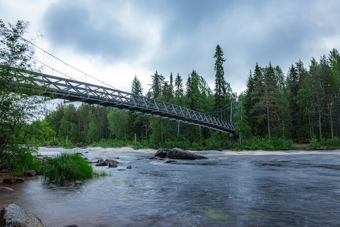 Explore the Wilderness (Summer & Autumn) - Culinary Delights in the Outdoors