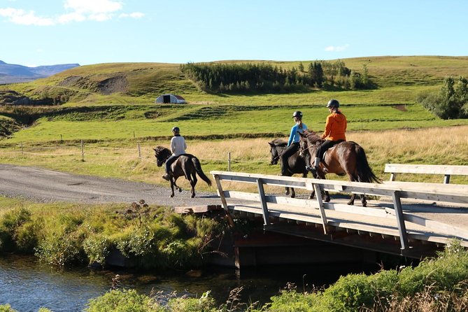 Family Friendly Horse Riding Tour in Skagafjörður - Suitable for All Experience Levels