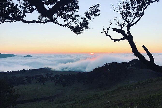Fanal Forest Private Sunset Hike - Embracing Local Flavors