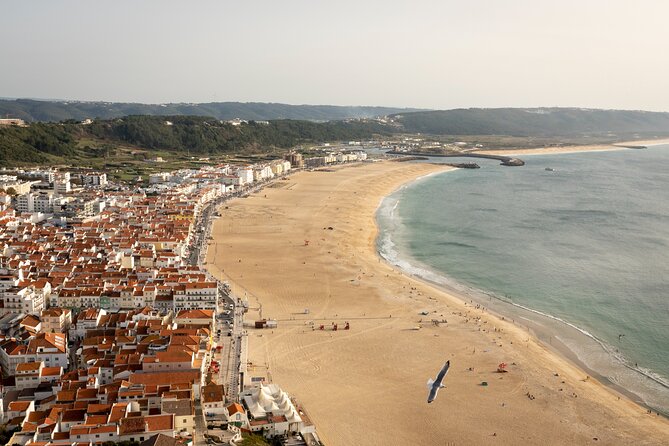 Fatima Sanctuary, Pena Palace & Nazares Big Wave From Lisbon - Witnessing the Nazaré Big Wave