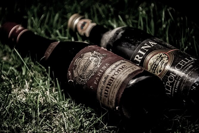 Food and Wine Tasting in Valpolicella - Tasting the Wines