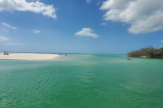 Fort Myers Beach Dolphin & Sightseeing Tour Refreshments Included - Frequently Asked Questions