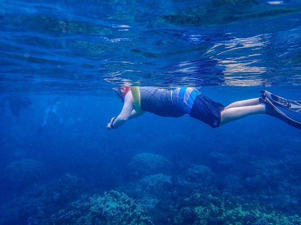 Four Winds Molokini Snorkeling Tour from Maalaea Harbor - Pricing and Value