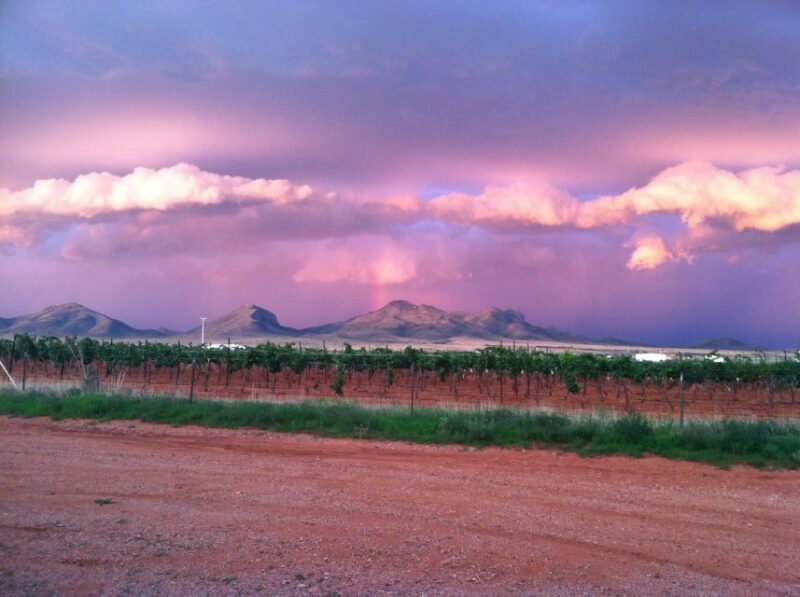 Friday: Tombstone & Bisbee; 9h Tour bus from Tucson - FAQ
