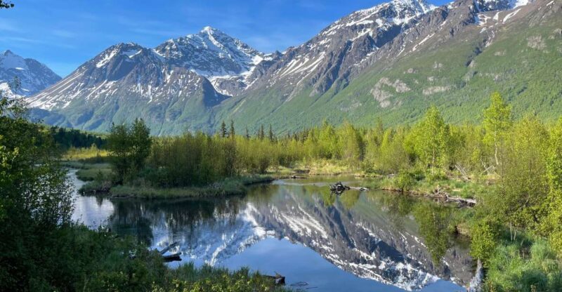 From Anchorage: Valley and Forest Hike with Naturalist Guide - FAQ