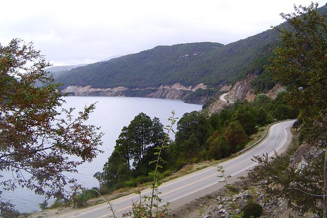 From Bariloche: San Martín De Los Andes via the 7 Lakes Route - Customer Experiences and Reviews