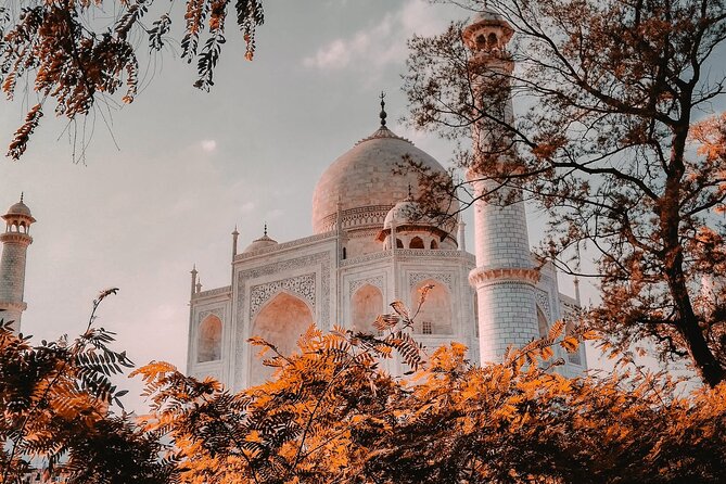 From Delhi : Private Day Trip to Taj Mahal & Agra Fort by Car - All Inclusive - Authentic Experiences and Traveler Feedback