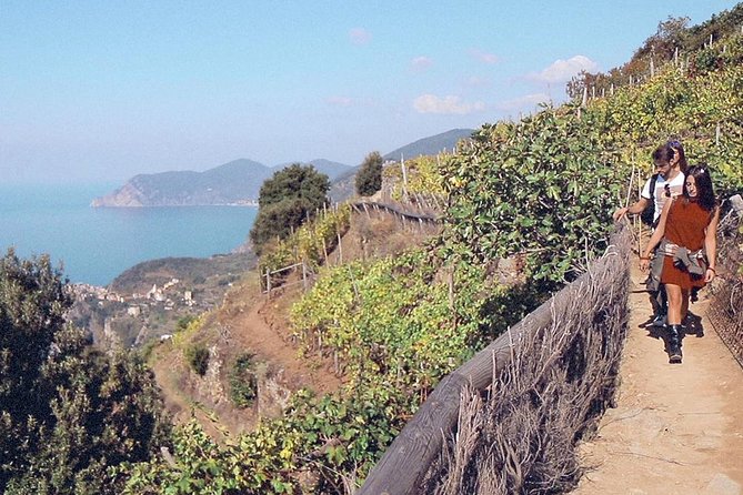 From Florence: Semi-Private Cinque Terre Exploration - Important Information and Recommendations