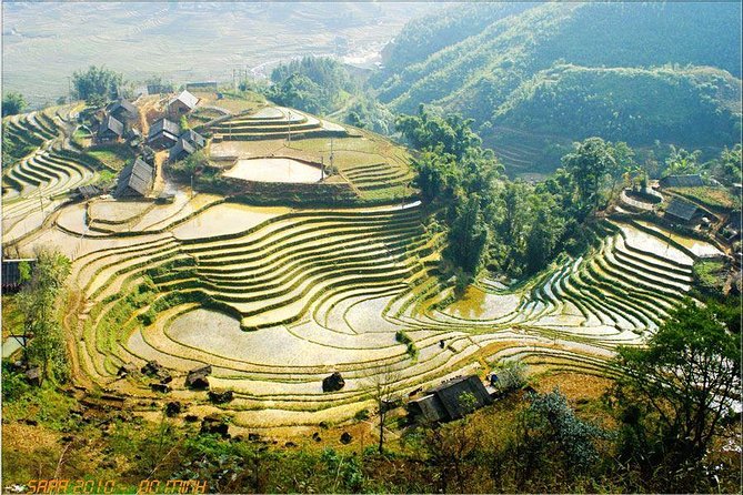 From Hanoi: Sapa Real Experience 2-Day 1 Night at Ethnic Homestay - Final Thoughts