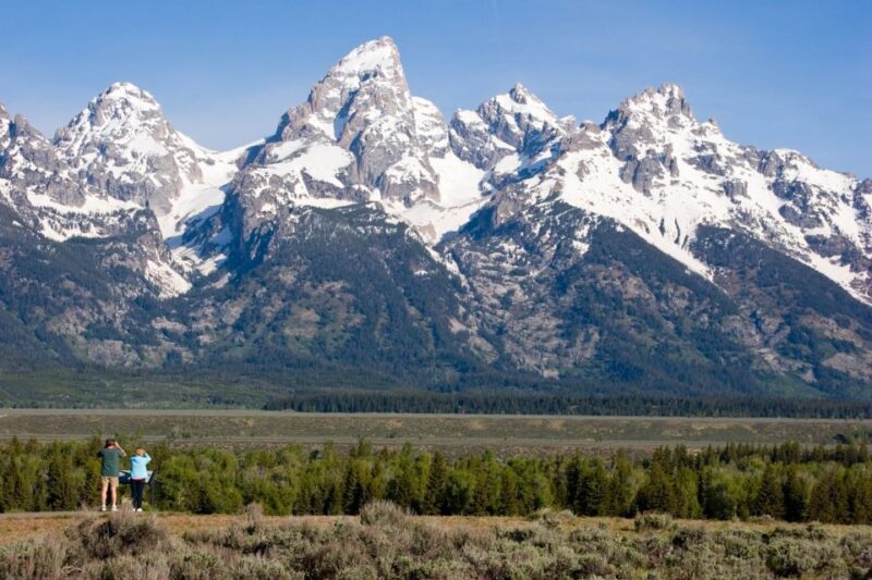 From Jackson Hole: Half-Day Grand Teton Wildlife Tour - The Sum Up