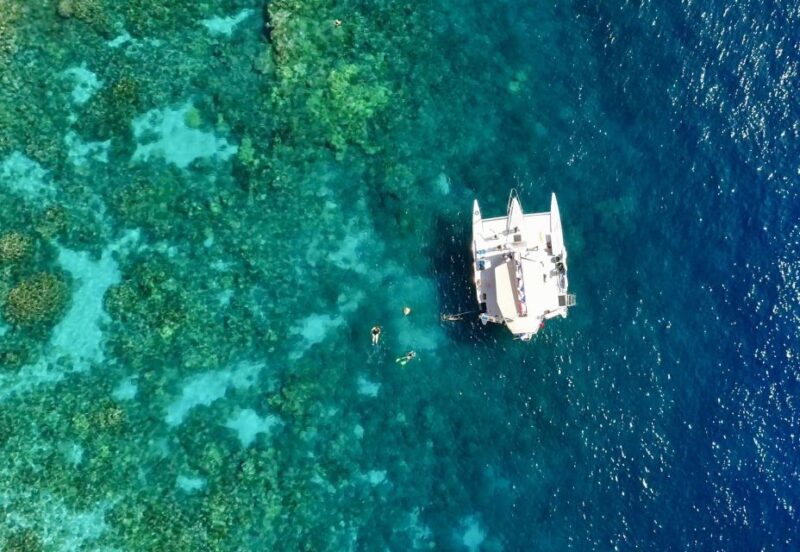 From Keauhou Bay: Snorkel Cruise to Captain Cook's Monument - Practical Tips for a Great Experience