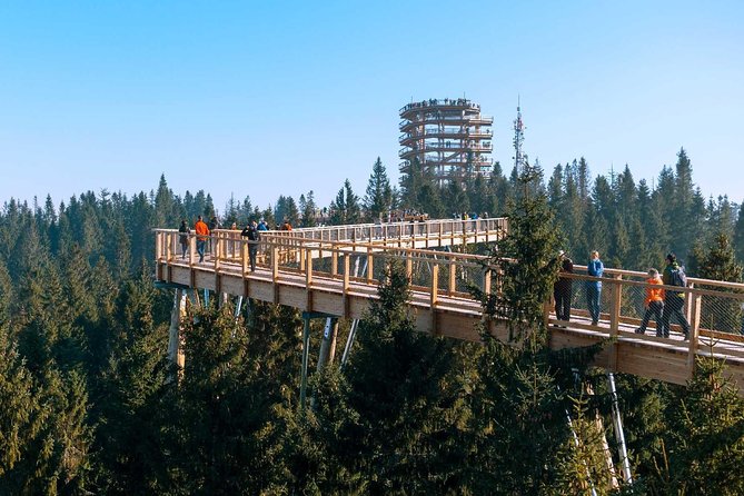 From Krakow: Morskie Oko in the Tatra Mountains and Slovakia Treetop Walk - Physical Requirements and Group Size