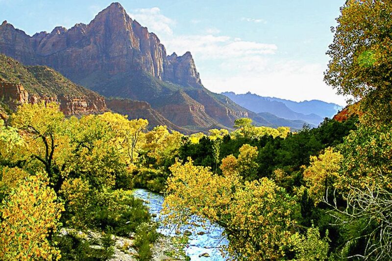 From Las Vegas: VIP Small-Group Zion National Park Adventure - Analyzing the Value