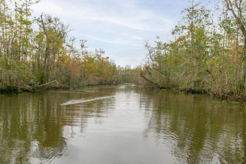 From New Orleans: Swamp Airboat, 2 Plantation Tours & Lunch - FAQ