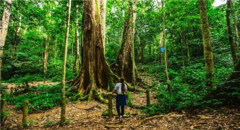 From Ninh Binh: Cuc Phuong National Park Day Trip with Lunch - FAQ