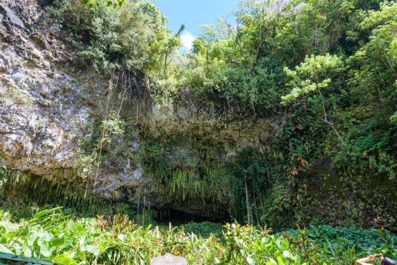 From Oahu: Kauai Waimea Canyon & Wailua River Tour - Scenic Stops on the Return