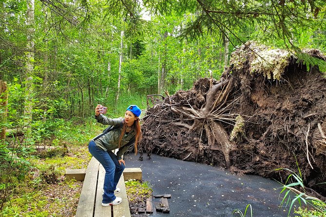 From Riga: Best of Kemeri National Park In One Day - Safety and Insurance
