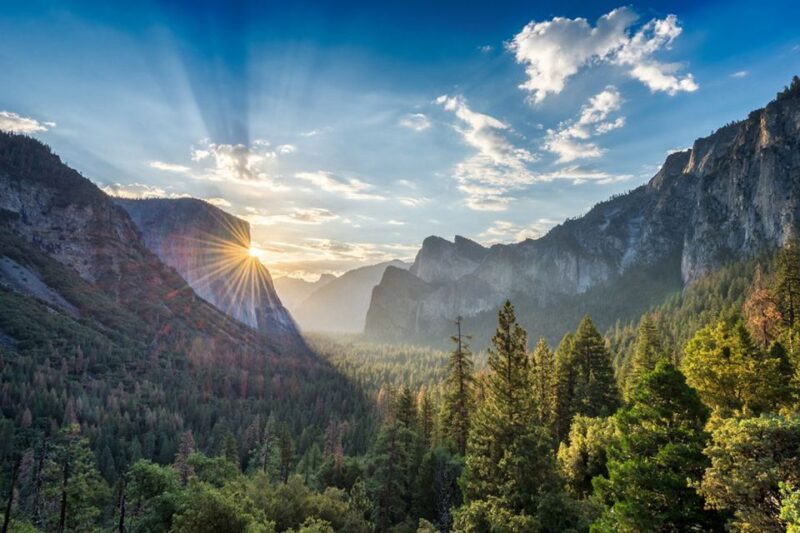 From SF: Yosemite Day Trip with Giant Sequoias Hike & Pickup - Final Words