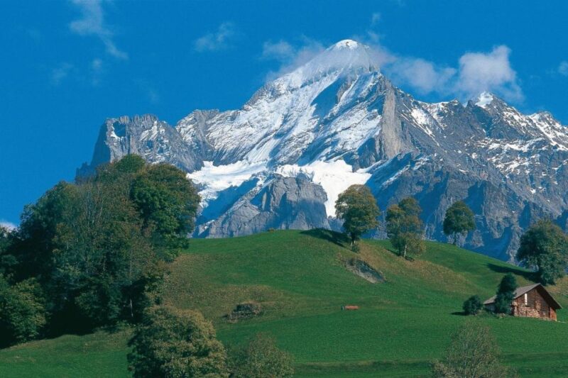 From Zürich: Interlaken and Grindelwald Day Trip by Coach - Since You Asked