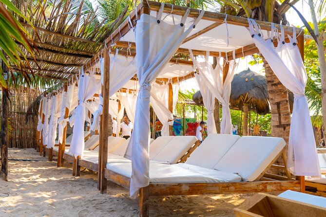 Full Day Adventure Isla Barú + Mangroves + Snorkeling + Bioluminescent Plankton - Highlights of the Isla Barú Experience