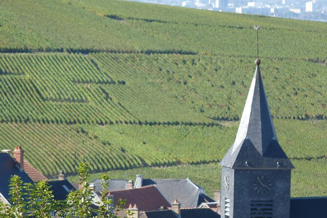 Full Day Champagne Pommery Small Group Tour - Champagne Production and History