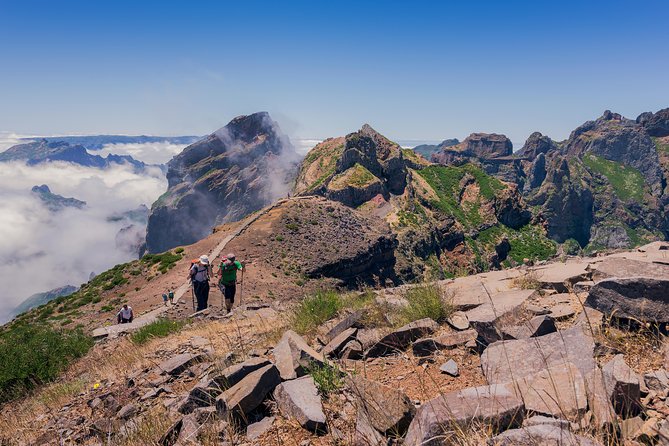 Full Day East of Madeira Tour Review - Tour Guides and Their Expertise