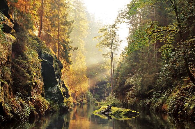 Full-Day Private Hike in Czechia and Saxon Switzerland - Guest Reviews and Testimonials