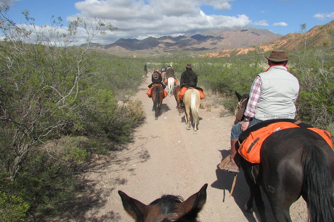 Full Day Ride at the Foot of the Andes - Culinary Delights and Hospitality