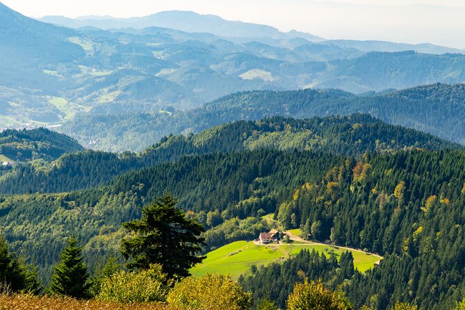 Germany Day Trip With Baden-Baden & Black Forest From Strasbourg - Participant Requirements