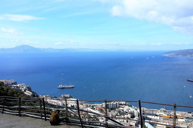 Gibraltar Private Trip From Marbella or Malaga - Visiting the Ibrahim-al-Ibrahim Mosque