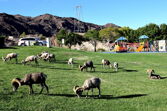 Grand Canyon West Plus Hoover Dam VIP Day Tour From Las Vegas - Included Amenities and Services