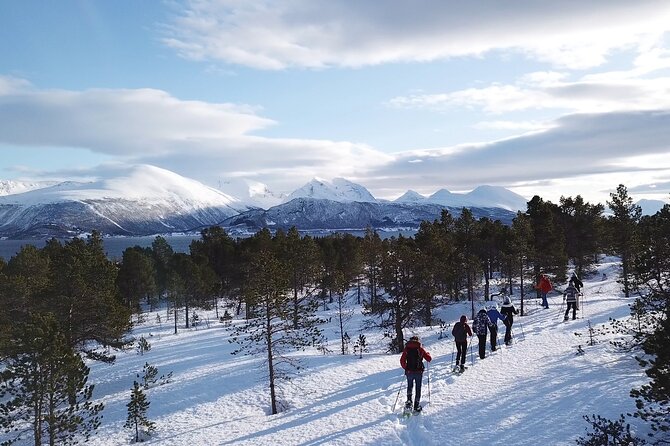 Guided Easy Snowshoeing With a Visit to Local Café - Appreciating the Knowledgeable Guides