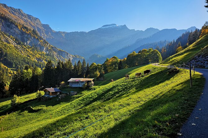 Guided Excursion to Jungfraujoch, Grindelwald and Lauterbrunnen From Lucerne - Limited Time at Key Sites