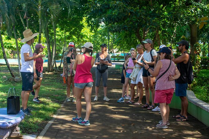 Guided Walking Street Art & Graffiti Tour in Jaco Costa Rica - Exploring Jacos Vibrant Street Art