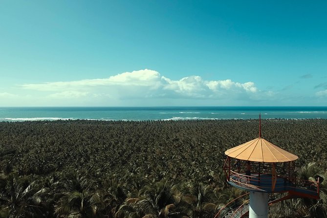 Gunga Beach - Leaving Maceió by WS Receptivo - Accessibility