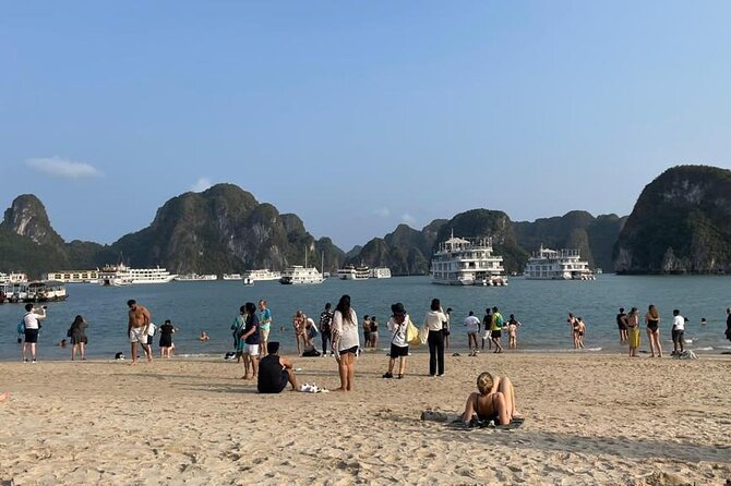 Ha Long Bay Day Cruise From Ha Noi - Who Should Consider This Tour?