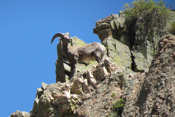 Half day Beg/Inter Rafting near Ft Collins - Estes Park - Boulder - Price and Value