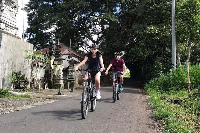 Half Day Cycling Tour ( Manual Bike ) - Final Thoughts: Is It Worth It?