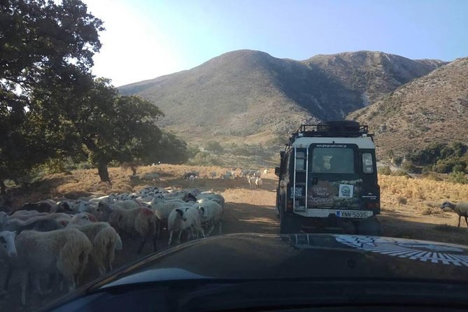 Half-Day Georgioupolis Off-Road Adventure With Meal - Accessibility and Participation