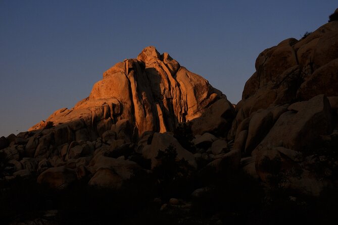 Half-Day Guided Hike in Joshua Tree National Park - Exploring the Flora, Fauna, and Geology