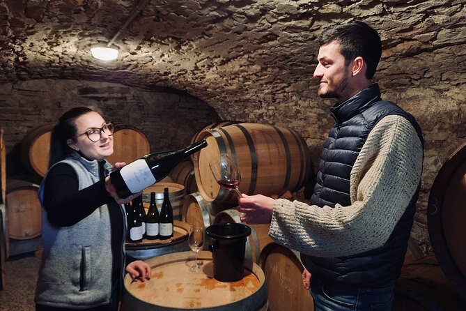 Half-Day Guided Tour on the Burgundy Wine Route in a Classic Car - Tasting Exceptional Côte De Beaune Wines