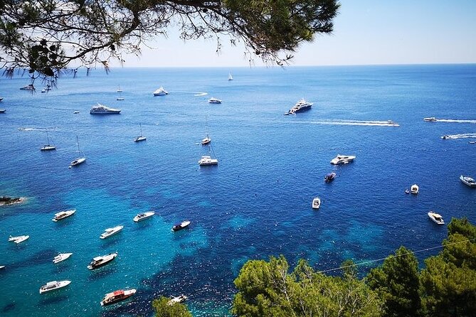 Half Day Private Boat Tour of Capri - Practical Details and Tips