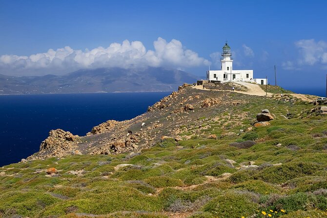 Half Day Private Tour Island With a Local in Mykonos - Local Cuisine: A Taste of Mykonos