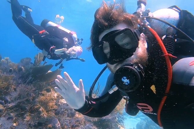 Half-Day Small-Group 2-Tank Scuba Dive in Key Largo (CERTIFIED DIVERS ONLY) - Highlights of the Activity