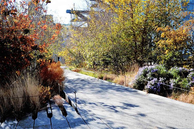 High Line and Chelsea Small Group Tour - The Sum Up